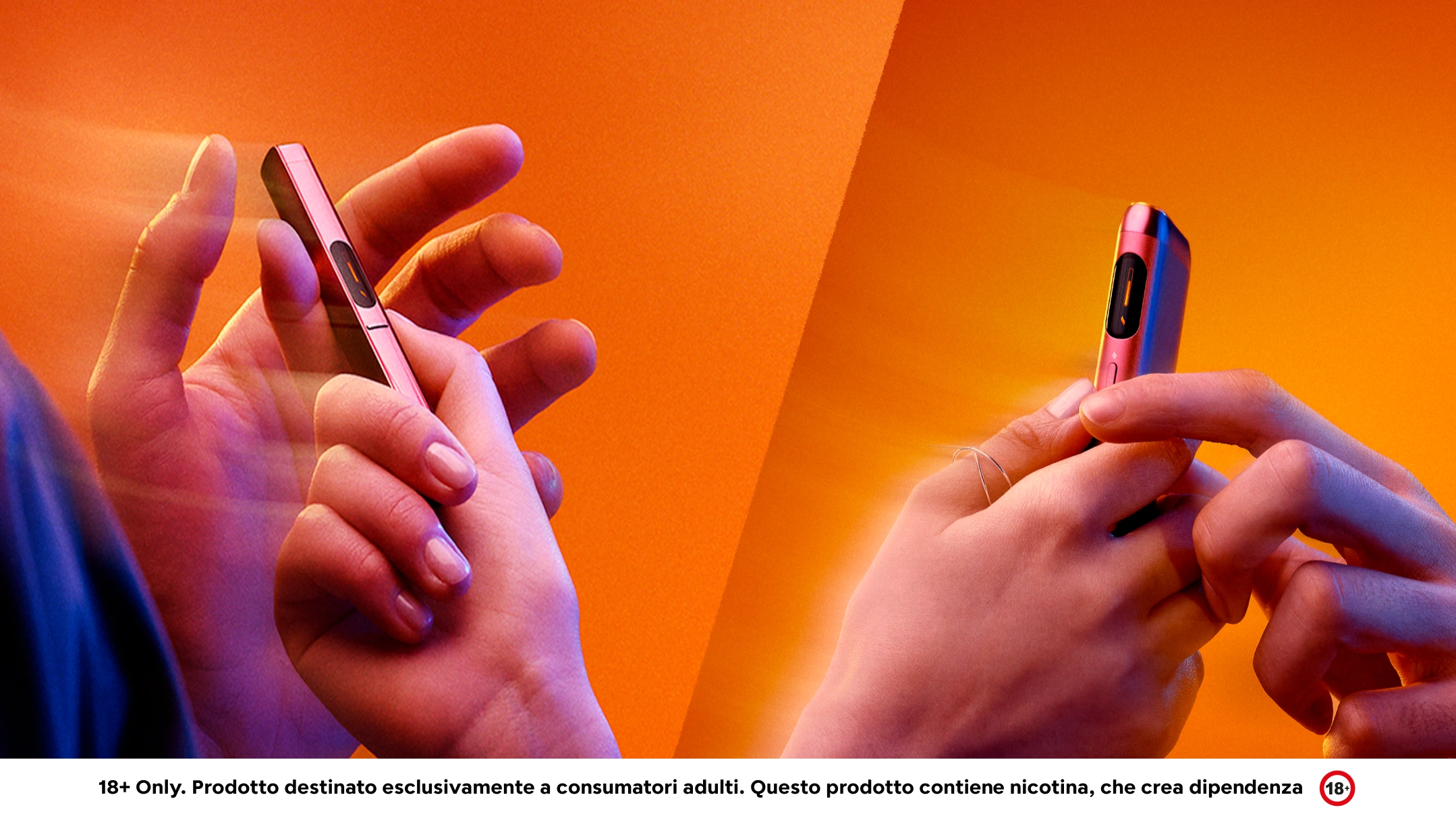 Hilo e Hilo Plus: caratteristiche e differenze | glo™